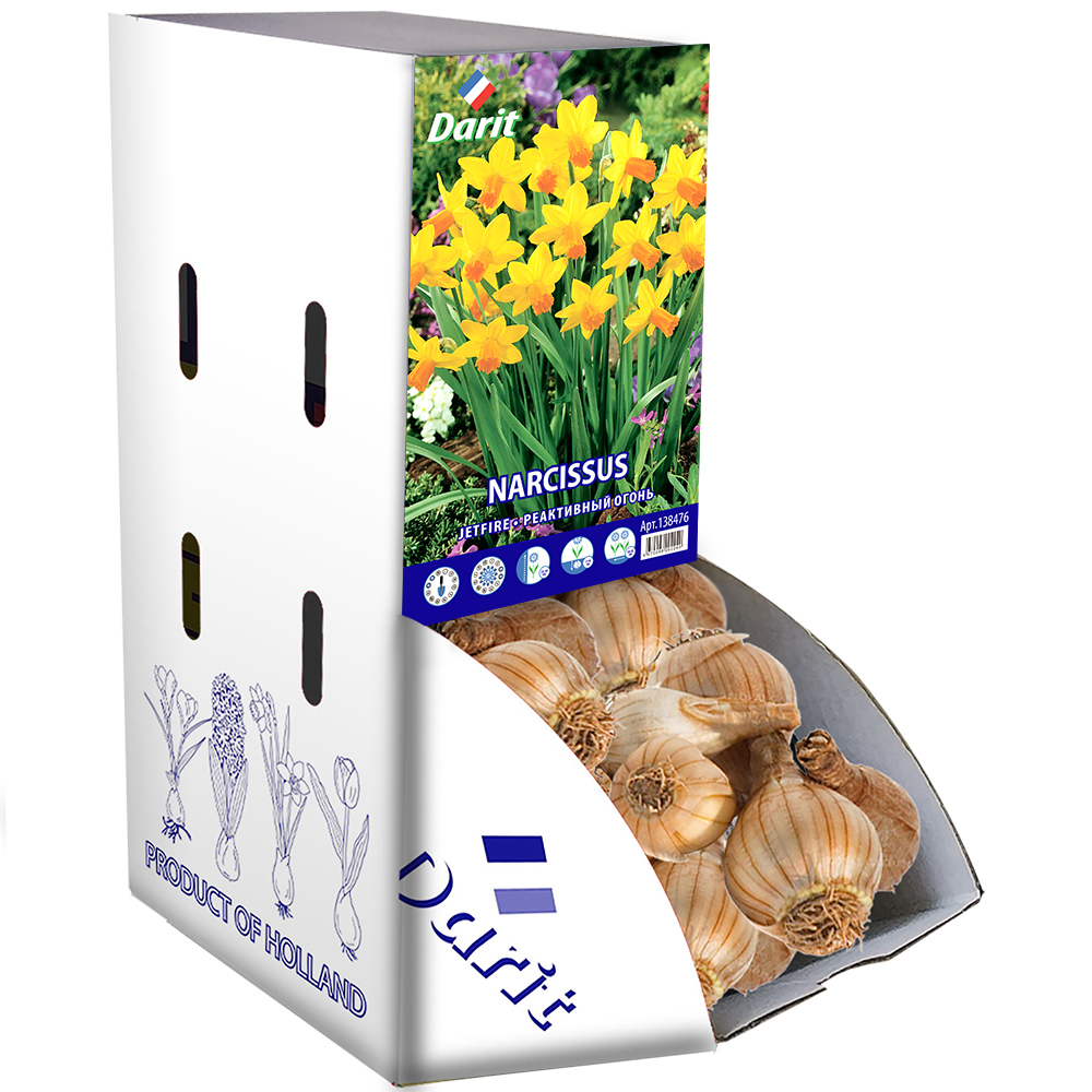 Купить Рекбокс Нарцисс цикломеновый Реактивный огонь/ Narcissus ...